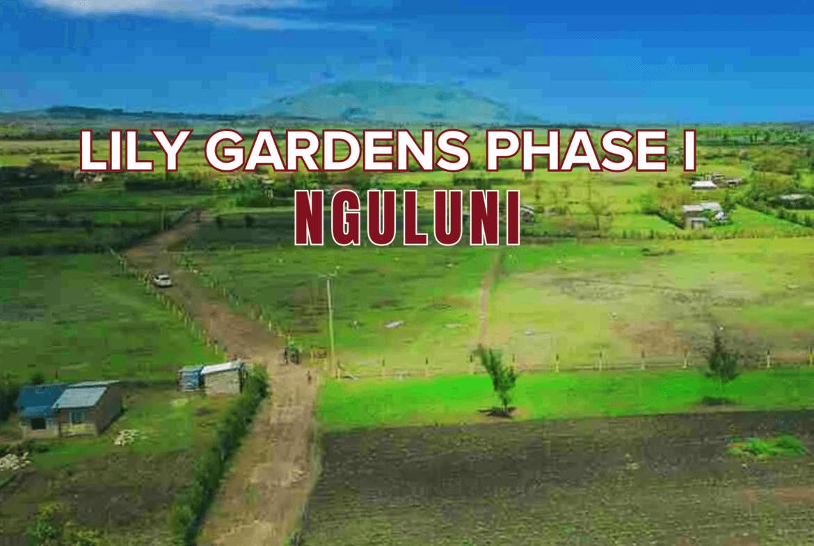 LILY GARDENS PHASE 1 – NGULUNI, KANGUNDO ROAD - Iconprime
